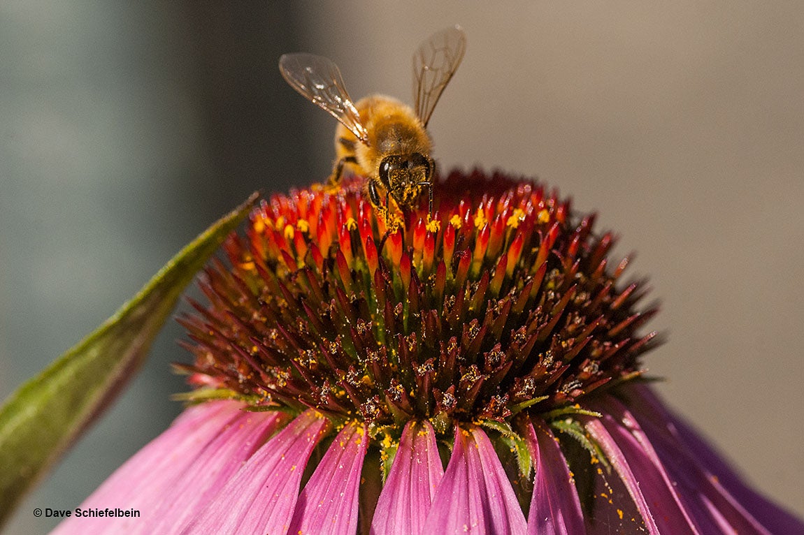 March 8th, 2025...Part #1: “What’s it all about? An Introduction to ...